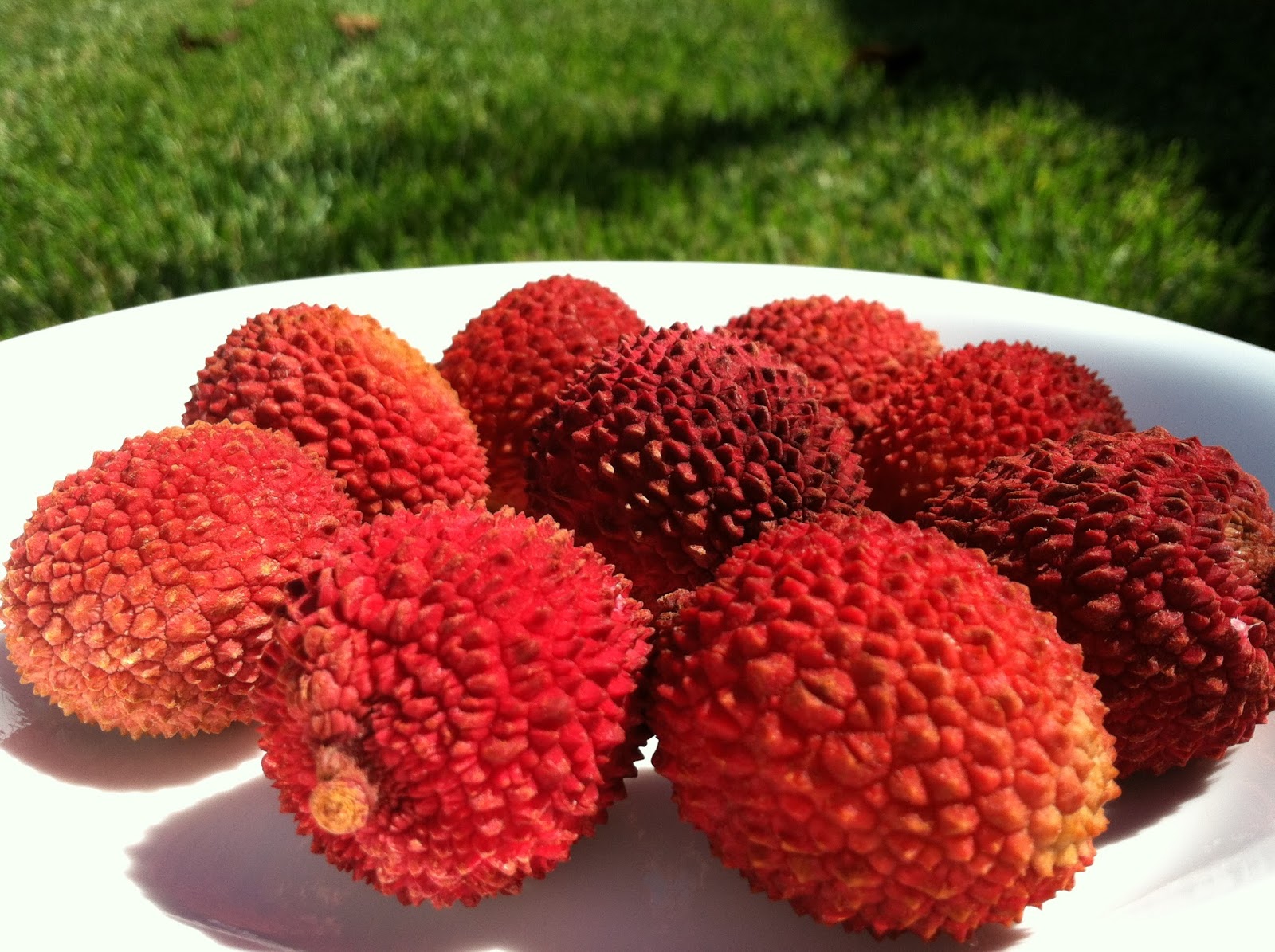 The Wakefields in Mexico: 2 More Lychee Converts