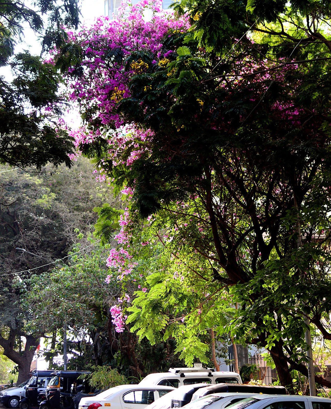 Mumbai Daily Mumbai Summer mumbai-daily-mumbai-summer
