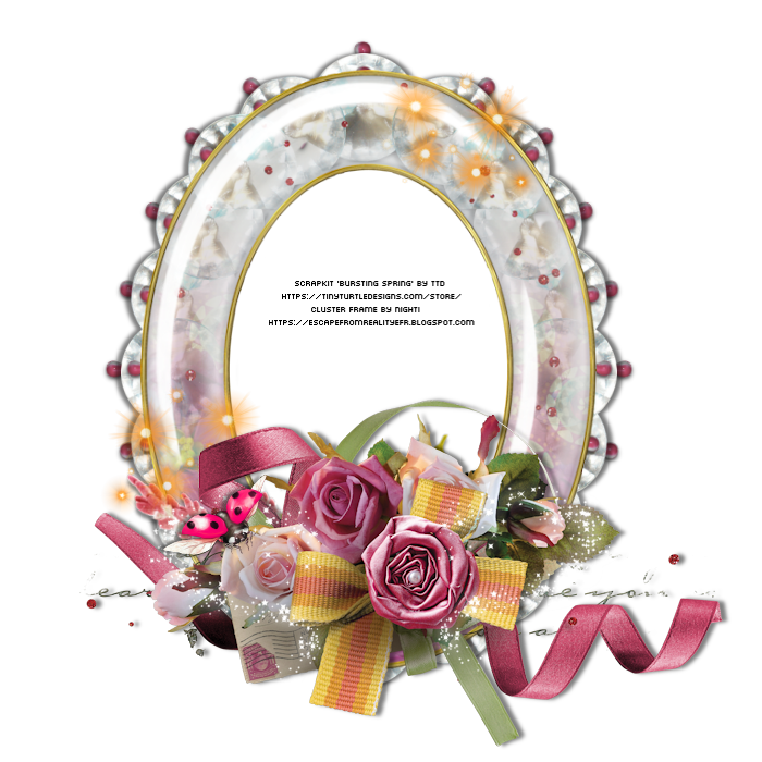 Escape From Reality Blog: FTU 'Bursting Spring' Cluster Frames TTD