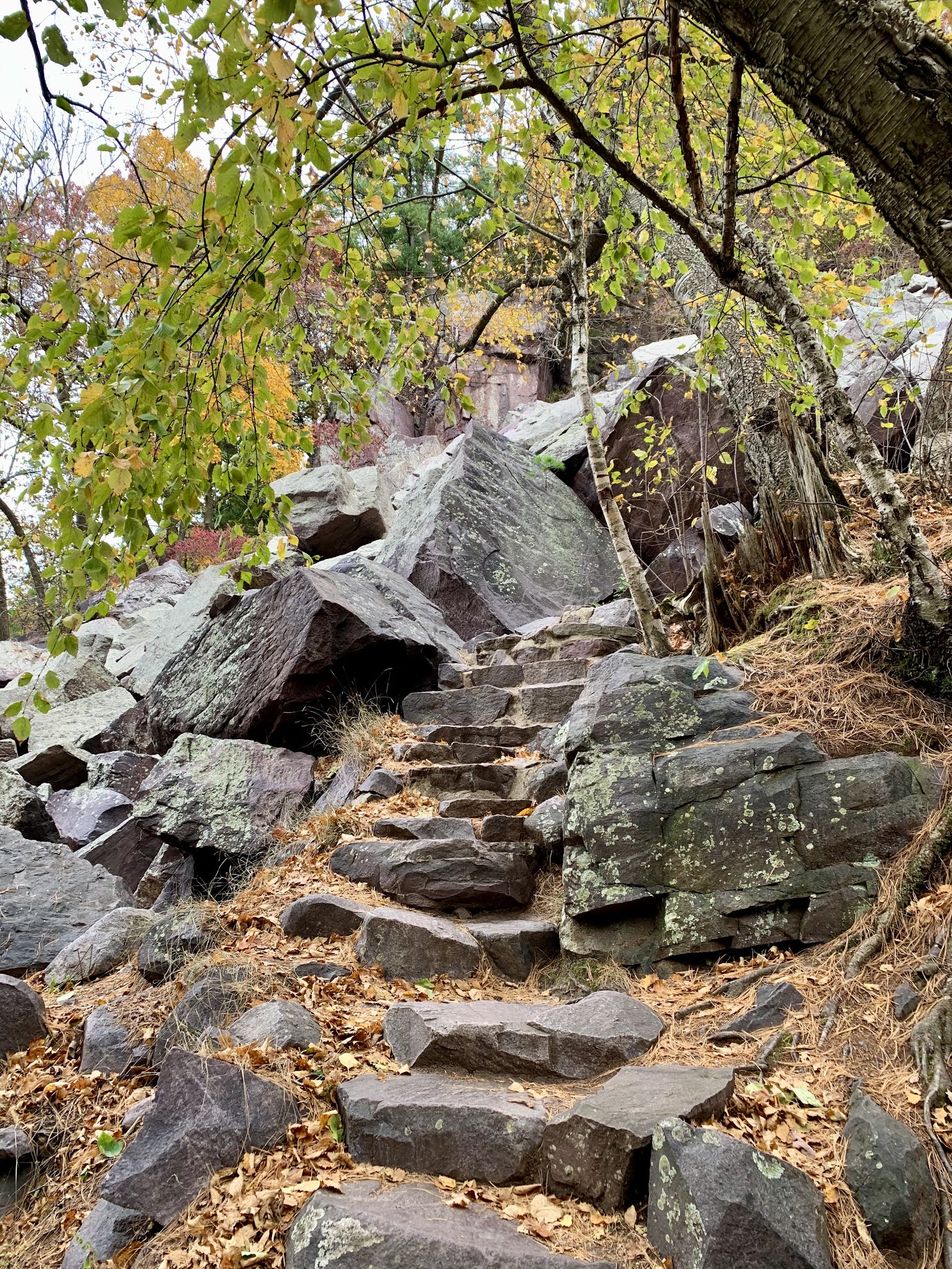 Amy's Creative Pursuits: A Return To Devil's Lake State Park