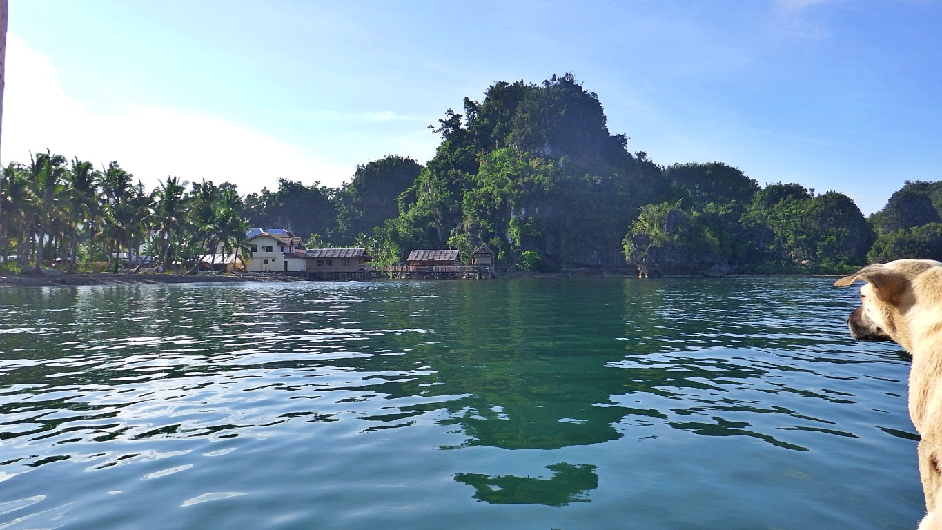 Caluwayan Palm Island Resort: Island Hopping