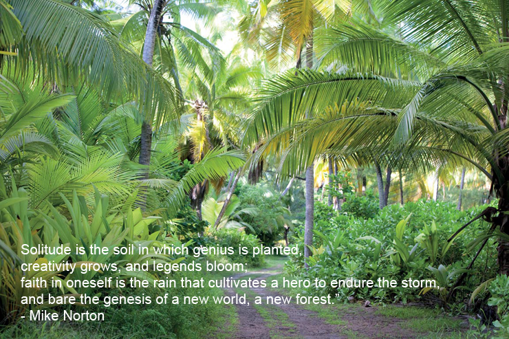 Island Life: Forest Inspiration