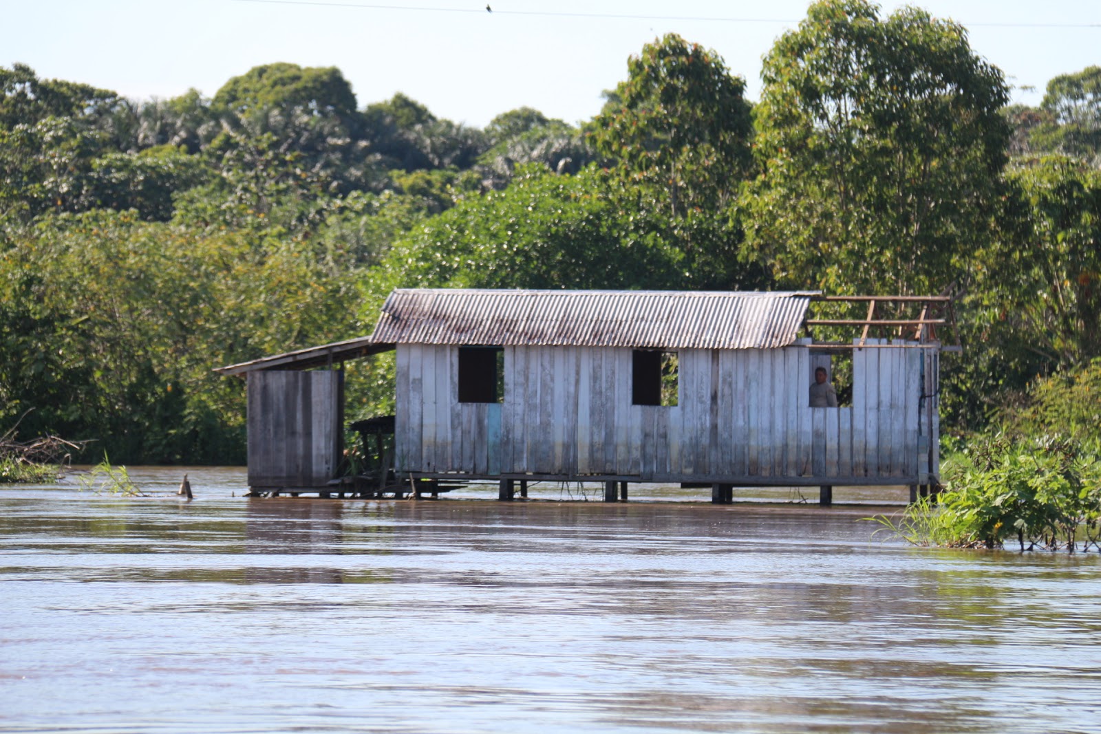 Juma Amazon Lodge: a primeira vez na Floresta Amazônica a gente nunca ...