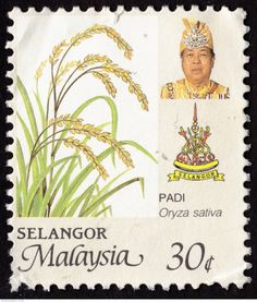 Aku Budak Telok: Sejarah Setem di Selangor