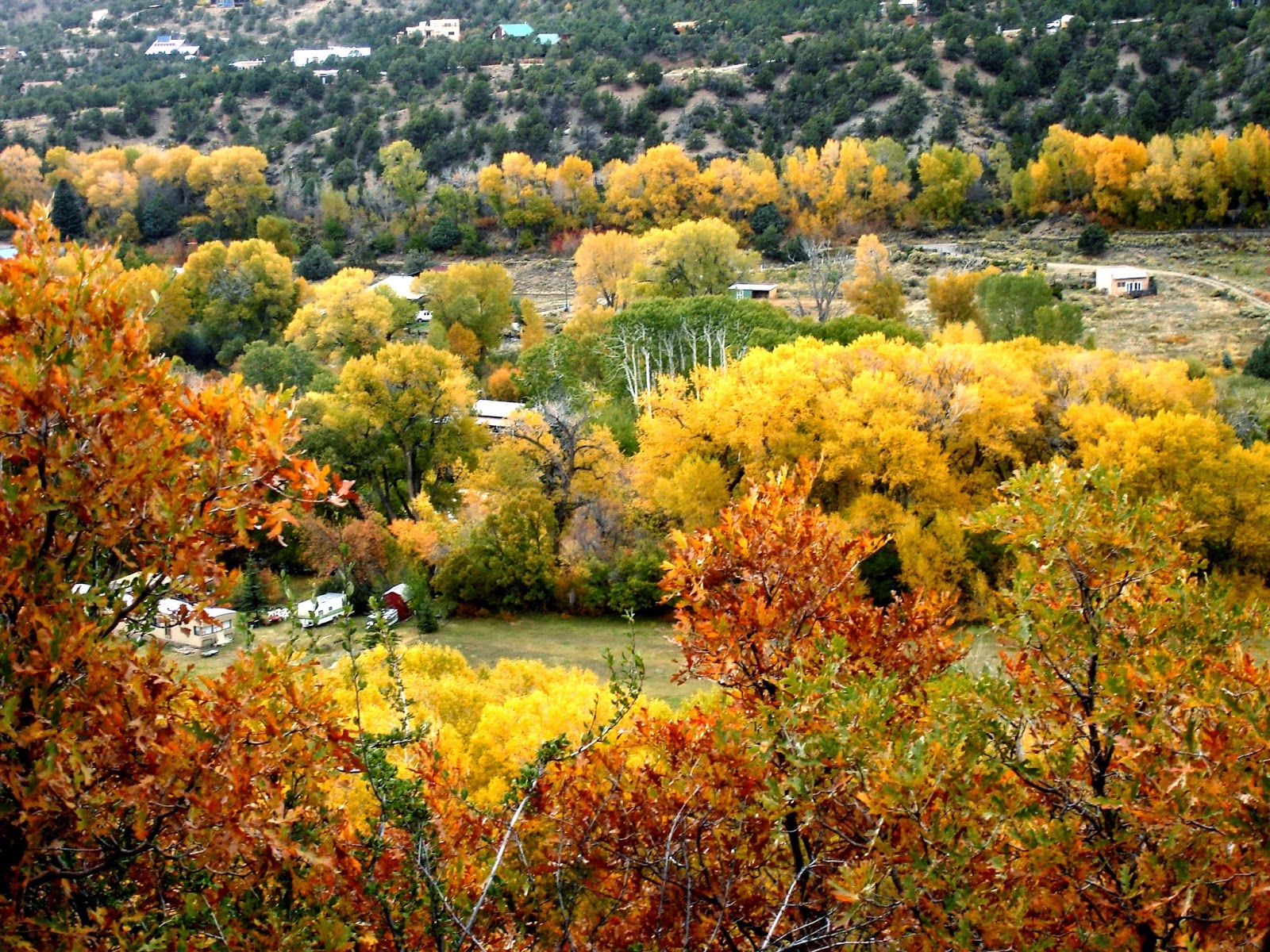 dee sanchez PAINTS! : Taos Colors