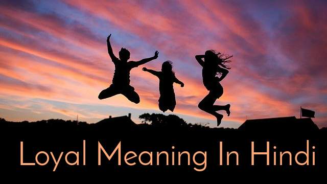 Loyal Meaning In Hindi What Is The Meaning Of Loyal In Hindi MEANING IN HINDI loyal-meaning-in-hindi-what-is-the-meaning-of-loyal-in-hindi-meaning-in-hindi