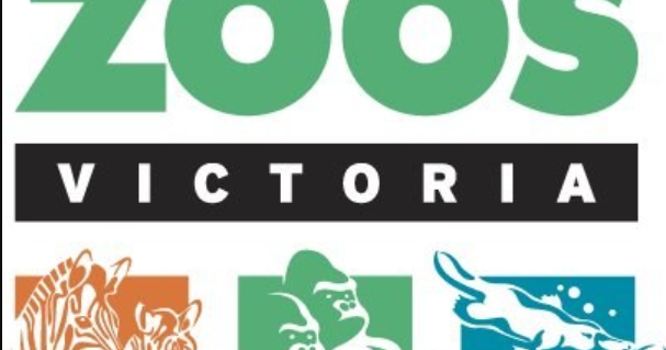 Zoo Jobs: Emergency Management Coordinator - Zoos Victoria