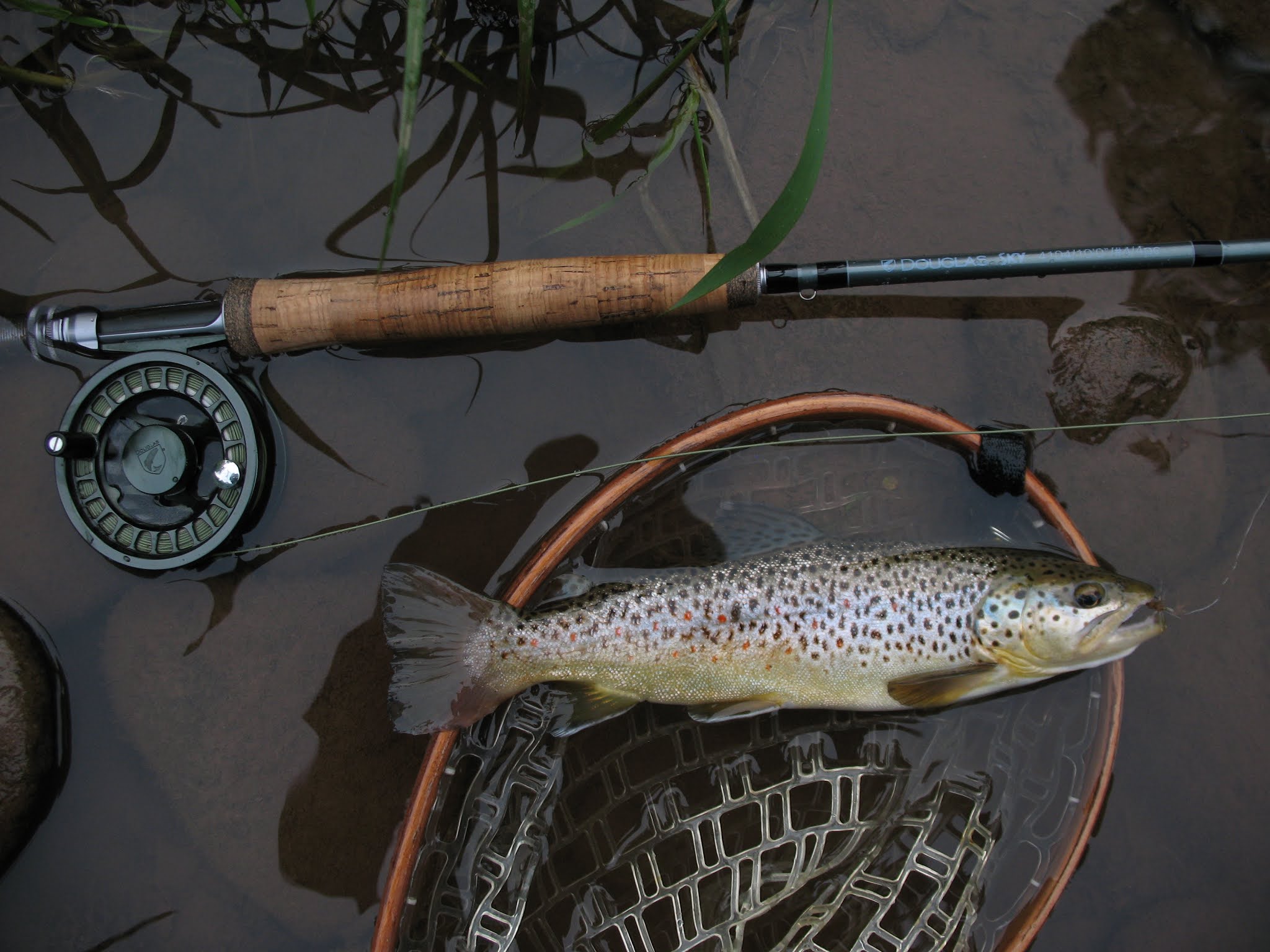 DRY FLY LEADERS FOR TROUT: THE LONG AND SHORT OF IT...AND WHAT'S IN ...