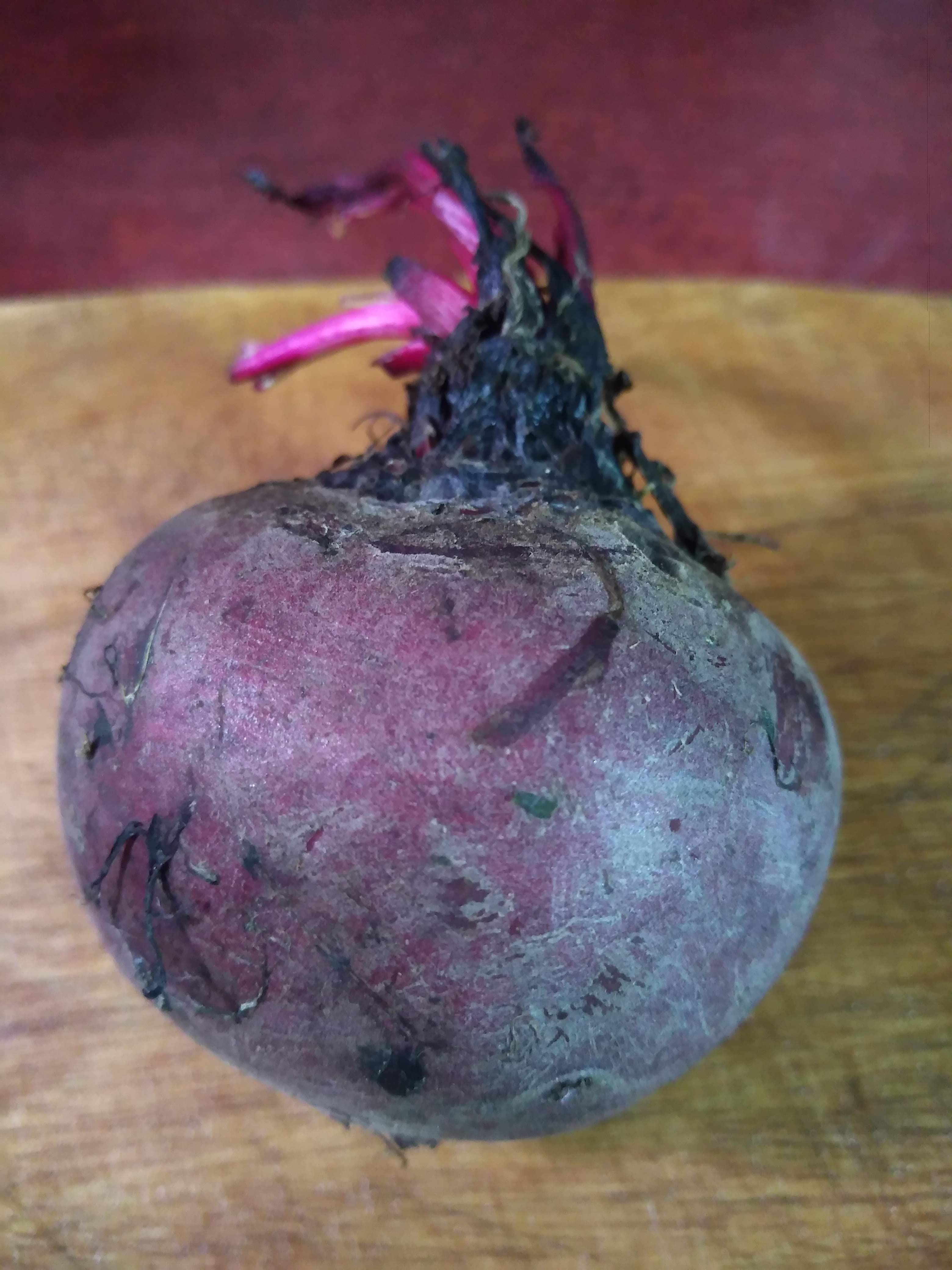 LABORATORIO TRANSPORTE CELULAR