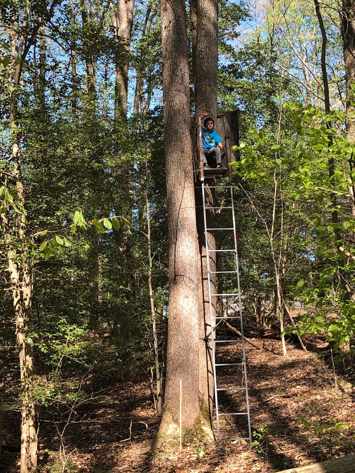 Ms. Nancy's Nook : The Molly Moocher Hunt!