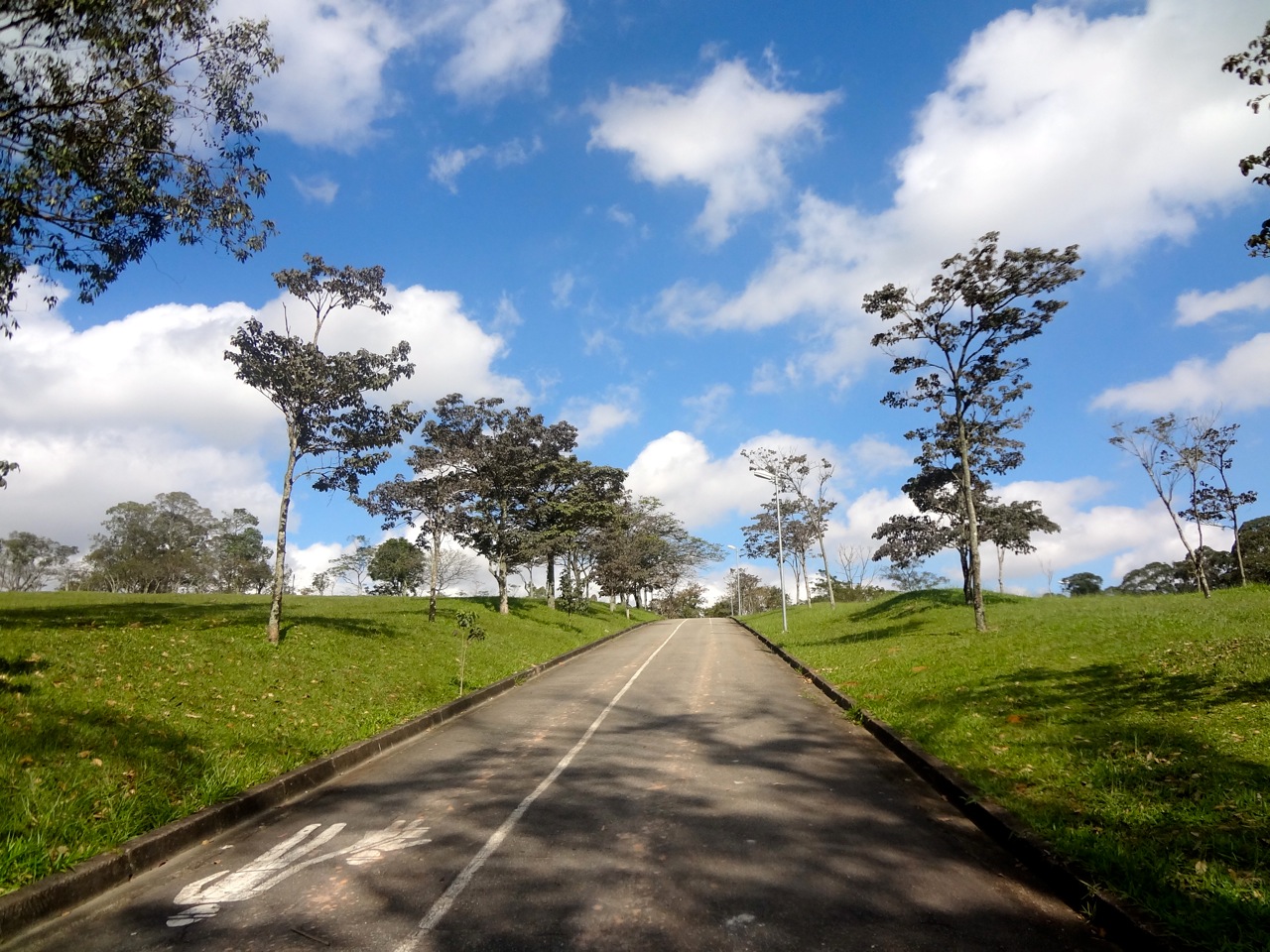 Parque do Carmo - Olavo Egydio Setúbal em São Paulo ~ Áreas Verdes das ...