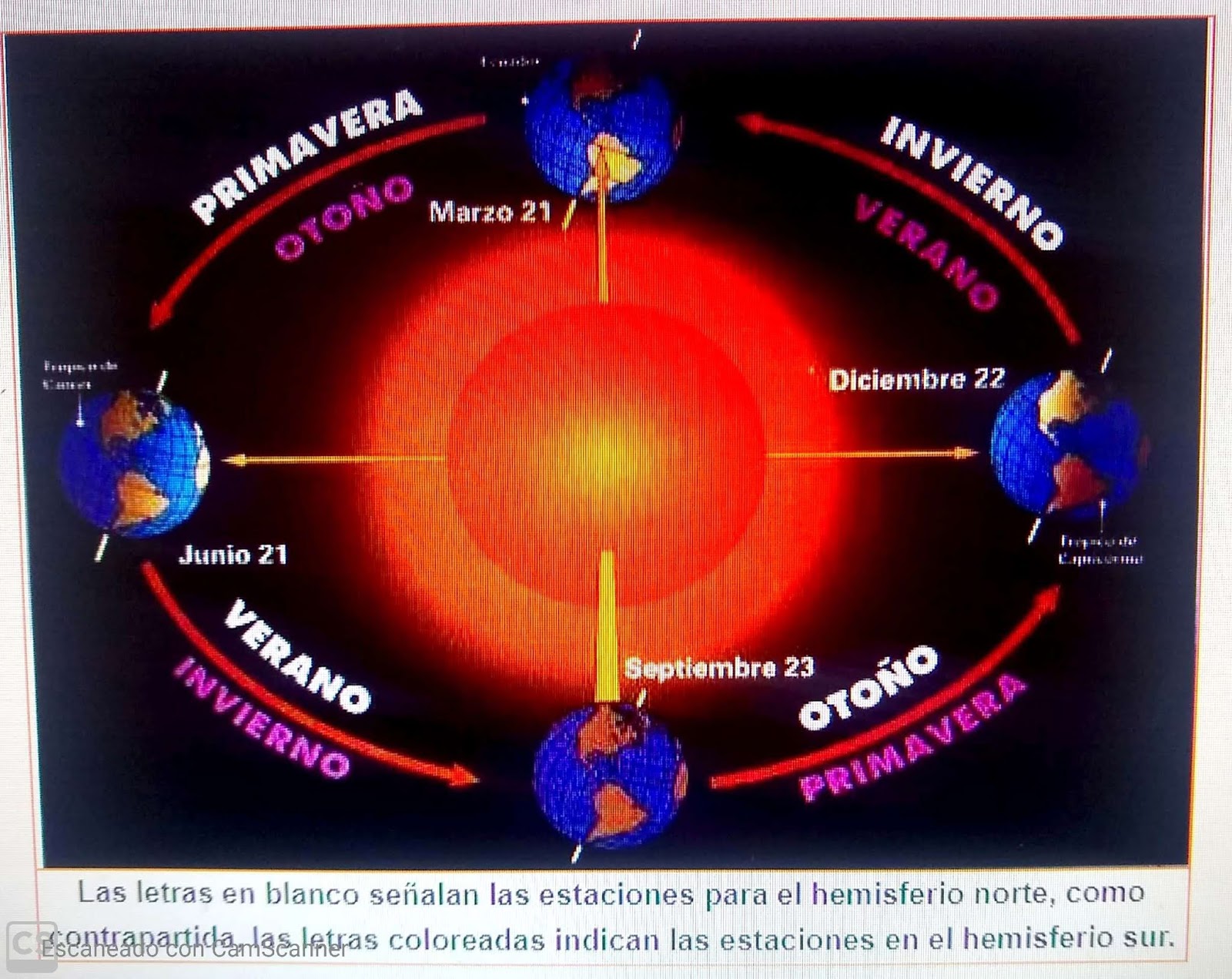 Escuela 8 DE 6: TERCERA PARTE CIENCIAS NATURALES 7° Del 13/04 al 26/04.