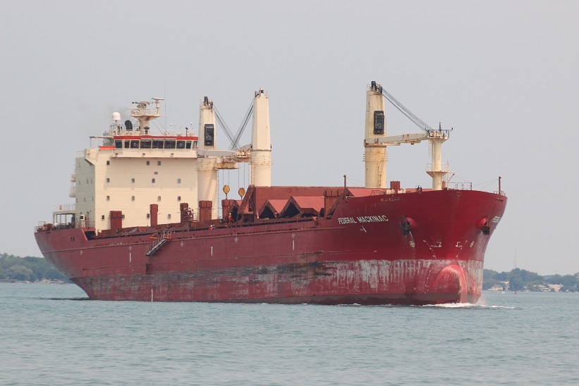 Michigan Exposures: The Federal Mackinac Passes Algonac