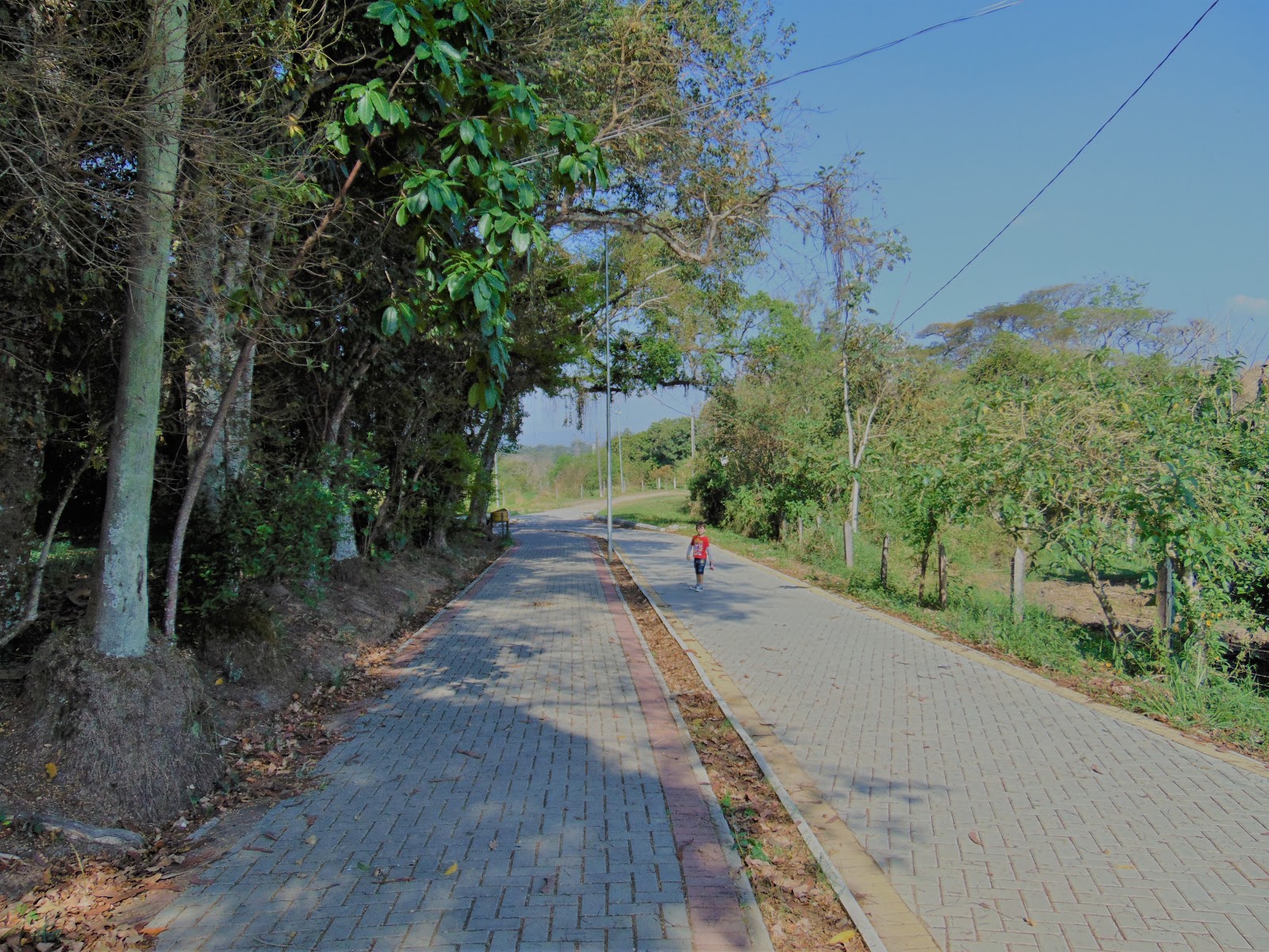 Parque da Cidade - Pindamonhangaba - SP