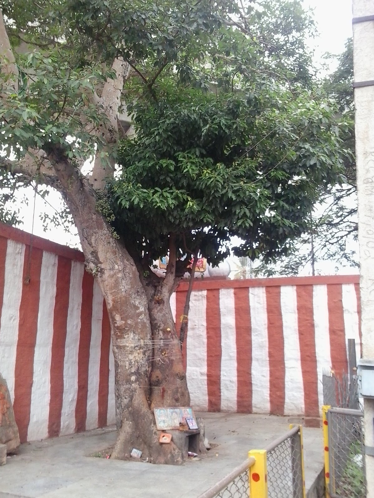 nrameshrao: Subramanya Swamy Temple - Ulsuru (Ulsoor)Bengaluru