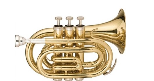 My Homeworks: BRASS WIND INSTRUMENT-POCKET TRUMPET