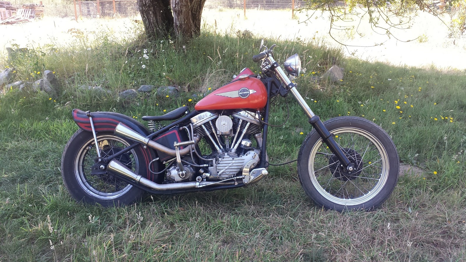 LOVE CYCLES: 1954 fle panhead chopper project