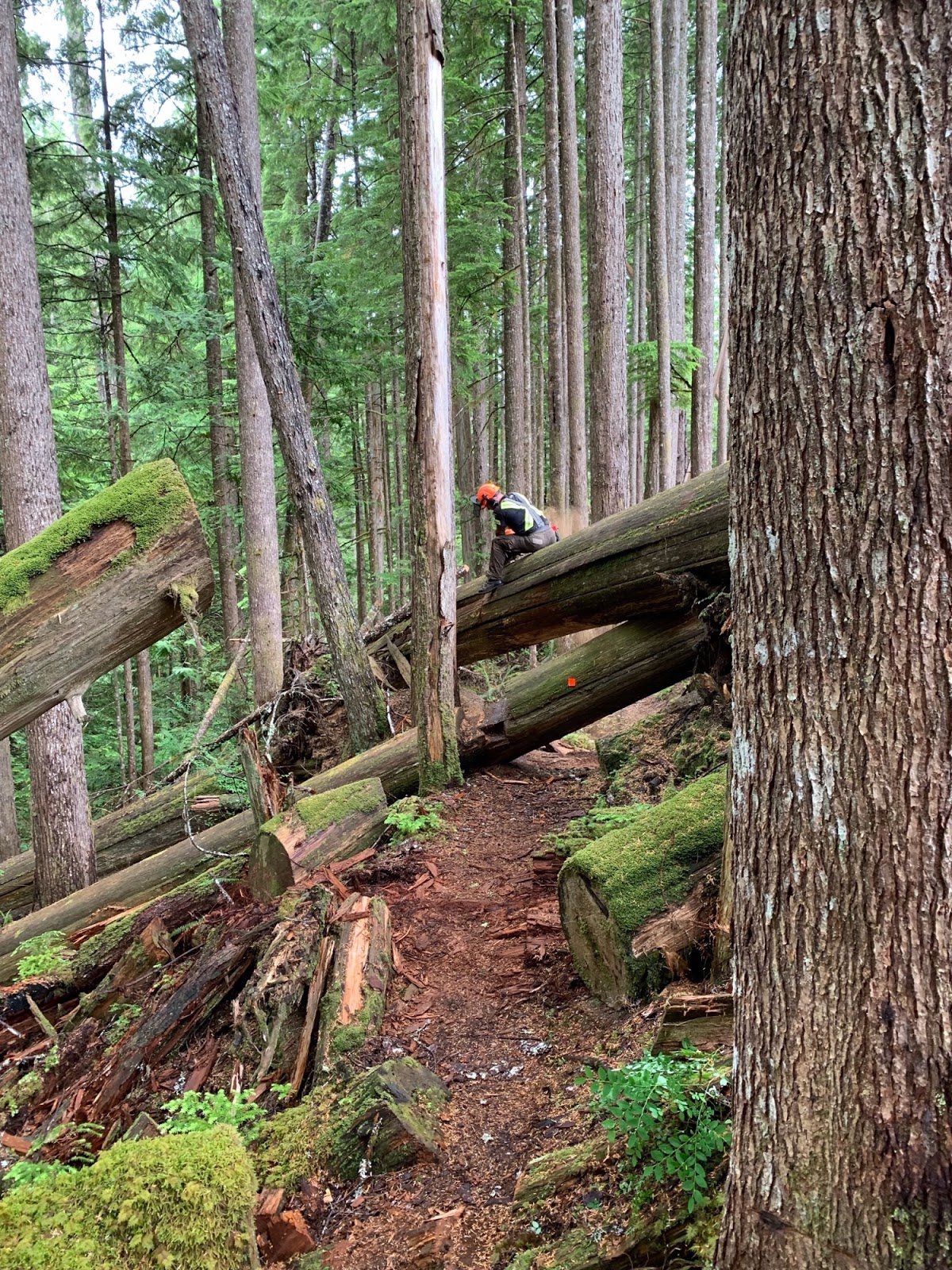 Current Trail Conditions