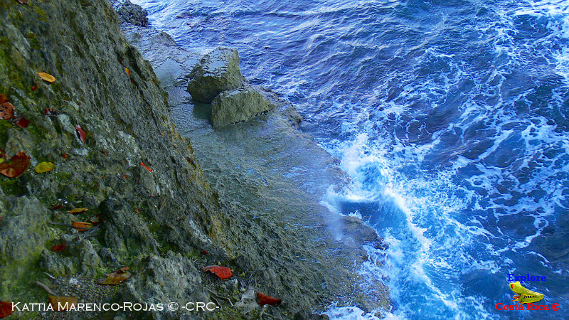 Playa Cocles de Limón | Explore Costa Rica