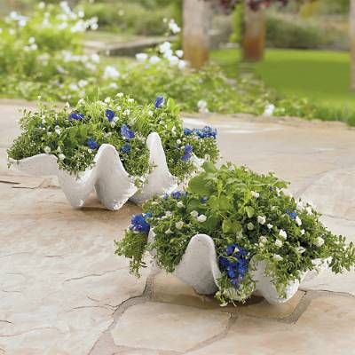 Where to Buy Faux Giant Clam Shells Online to Use as Planters, Vases ...