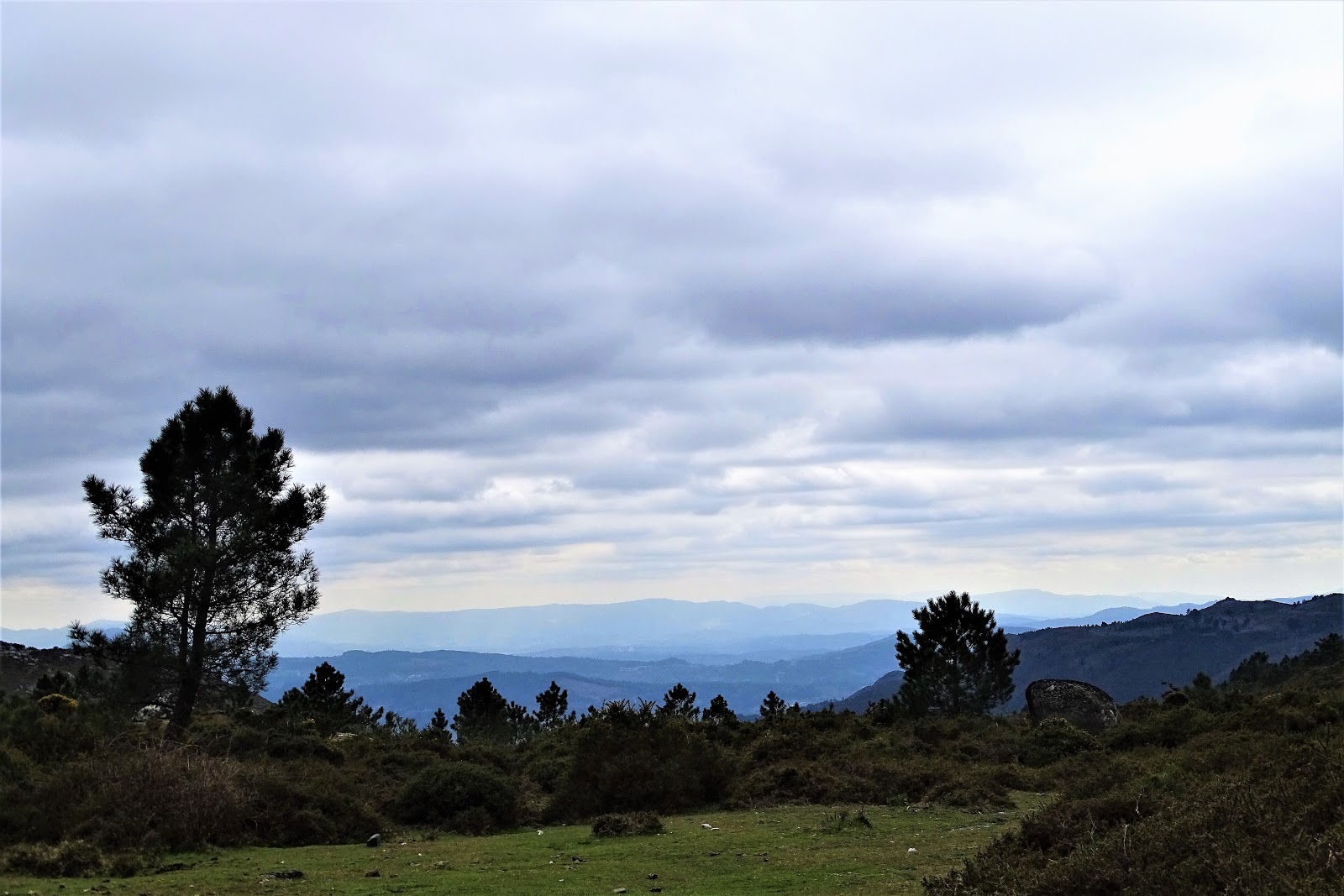 El Bosque y sus Secretos: Serra do Suído