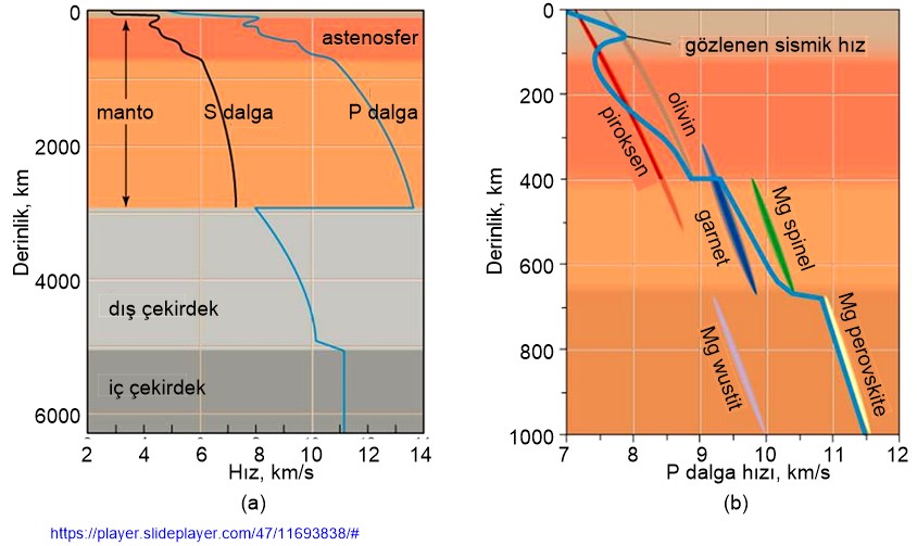 Prof. Dr. Bilsen Beşergil: Repetti Süreksizliği (Repetti discontinuity)