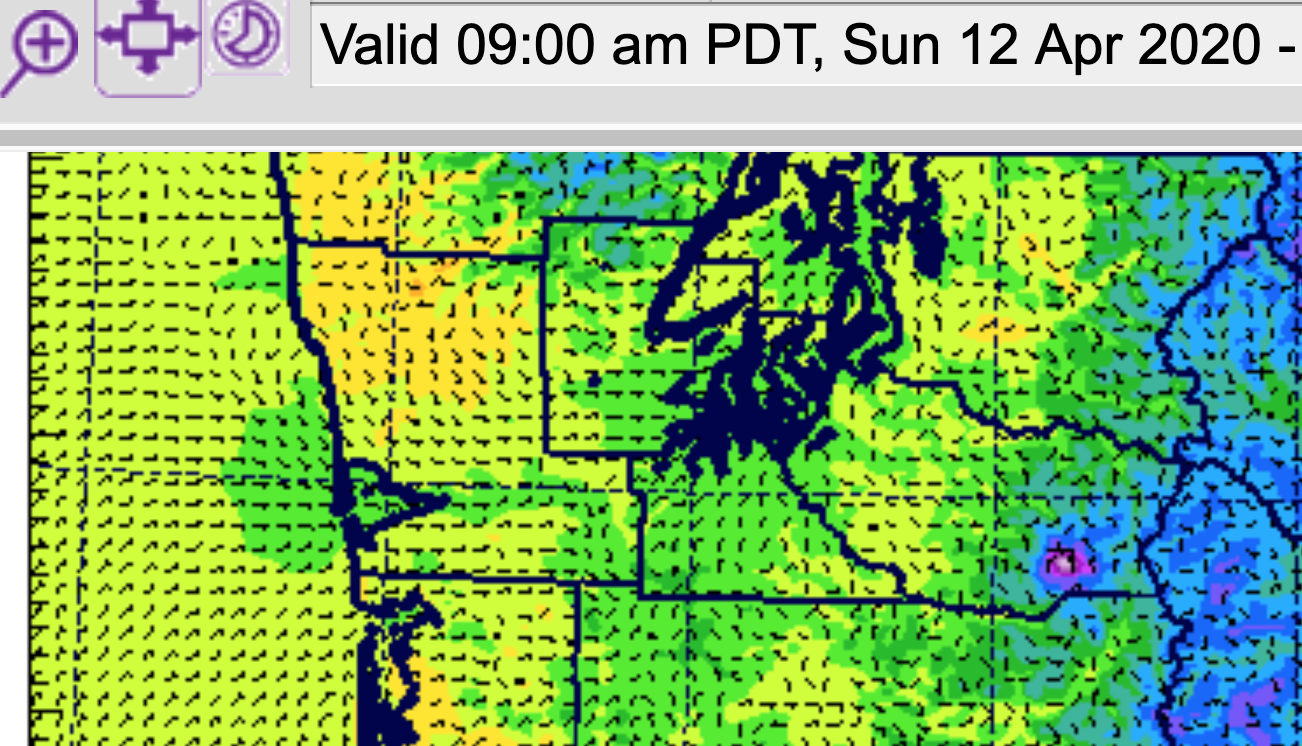 Cliff Mass Weather Blog: A New Discovery? The Chehalis River Fog Jet