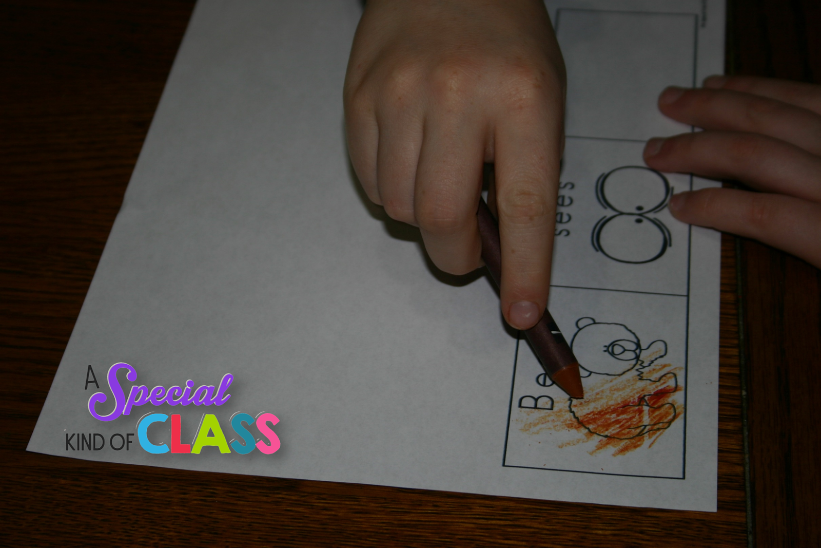 A special kind of class: Bear Sees Colors - Day One