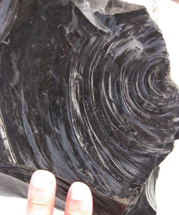 EVERYTHING ABOUT ARCHAEOLOGY: WHAT IS THE CONCHODIAL FRACTURE