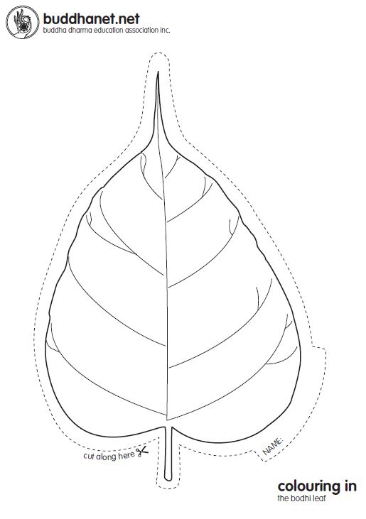 sharing: Colouring Bodhi