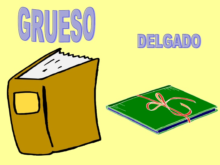 CONCEPTO GRUESO - DELGADO - SEMANA DIEZ