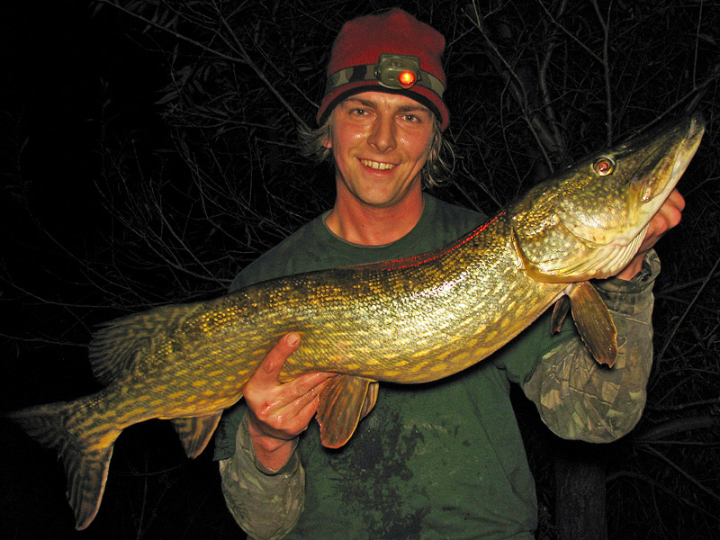 Predator Fishing Article - Zander, Pike & Eel - on FishingMagic ...