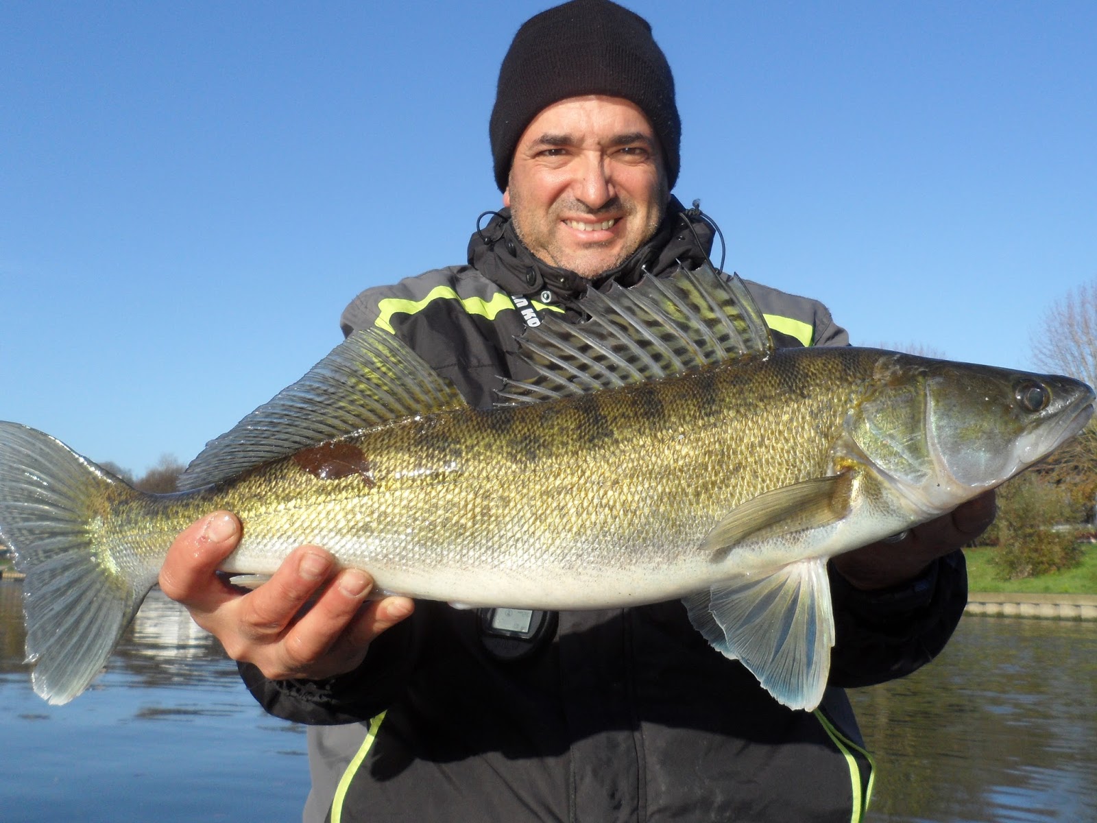 Pêche du carnassier en Seine: Conditions de pêches délicates.