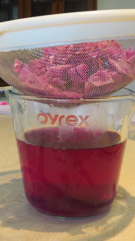Be Our Best: Purple Cabbage pH Science Experiment