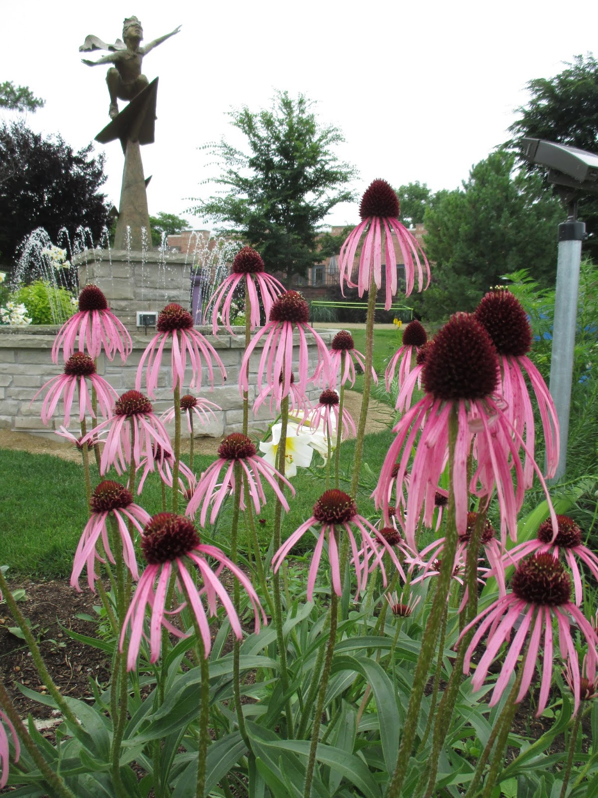 Rotary Botanical Gardens - Hort Blog: Finishing Touches