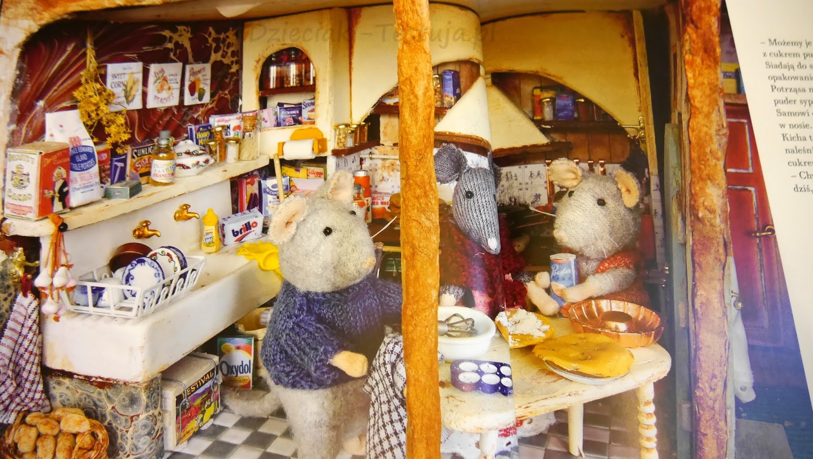 Mysi Domek: Sam i Julia - Dzieciaki-Testuja.pl - Recenzje zabawek ...