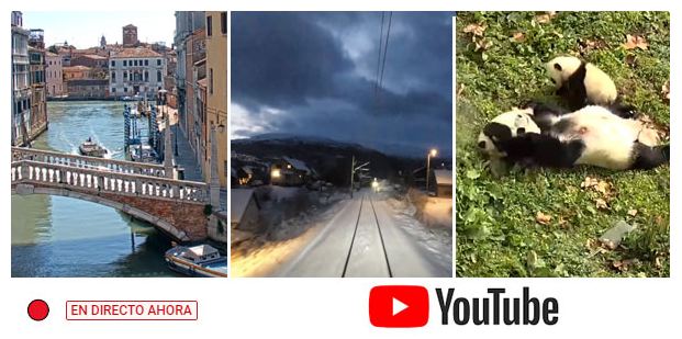 IMPACTO BUGA TV: Datos Curiosos.....Sabias Que ?