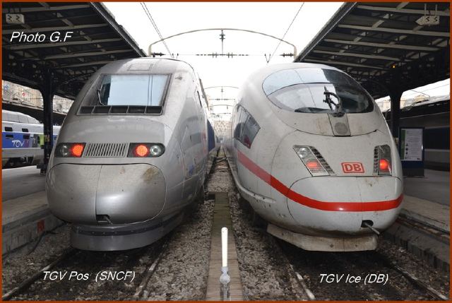 Mes passions, mes collections: Les TGV à Paris Est