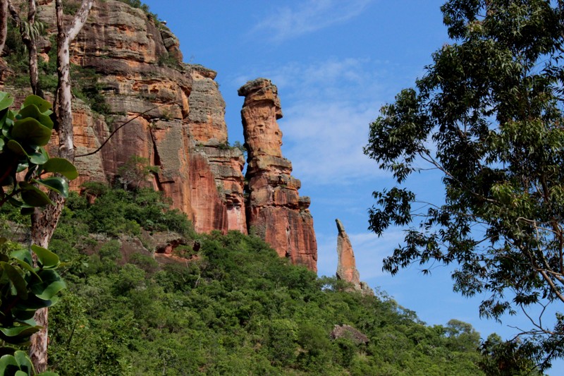 Impressões do Roncador