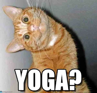 40+ Hilariously Funny Yoga Memes