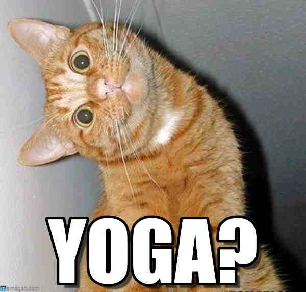 40+ Hilariously Funny Yoga Memes