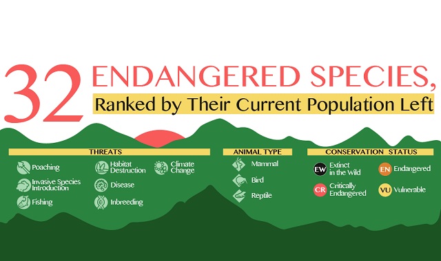 32 Animals That Are Going to Be Extinct Soon (Endangered Species Ranked ... 32 Animals That Are Going to Be Extinct Soon (Endangered Species Ranked ...