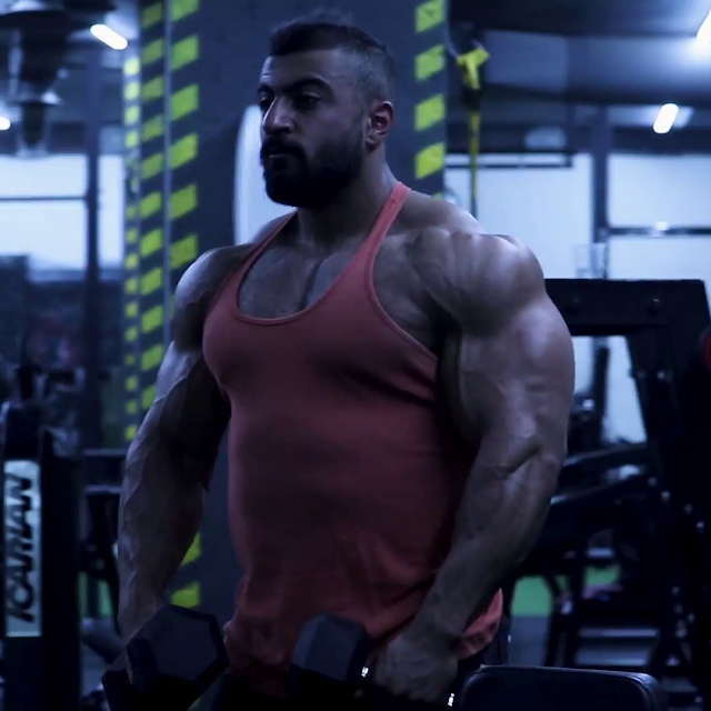 Muscle Lover: The Jordanian muscle machine - IFBB Pro bodybuilder ...