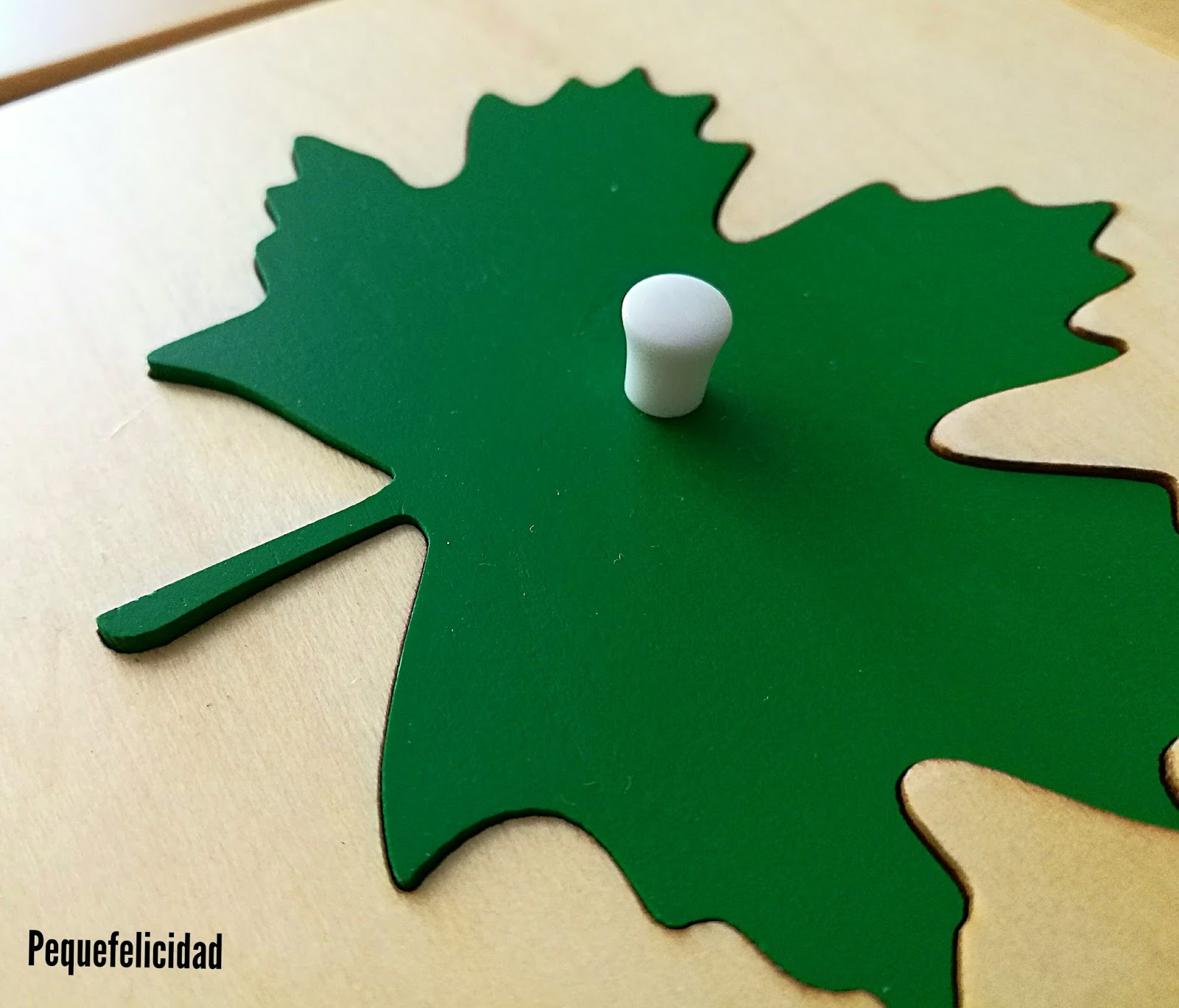 PEQUEfelicidad: GABINETE DE BOTÁNICA MONTESSORI