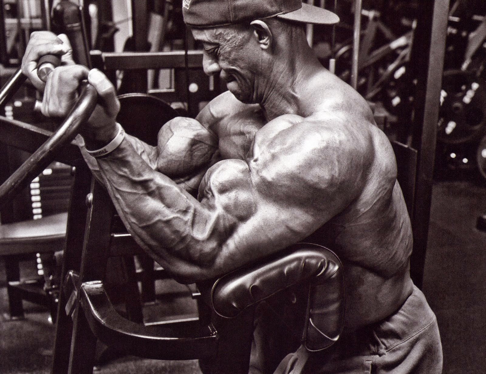 the beauty of male muscle: Troy