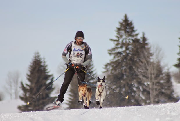 Mushing Toledo: El Mushing