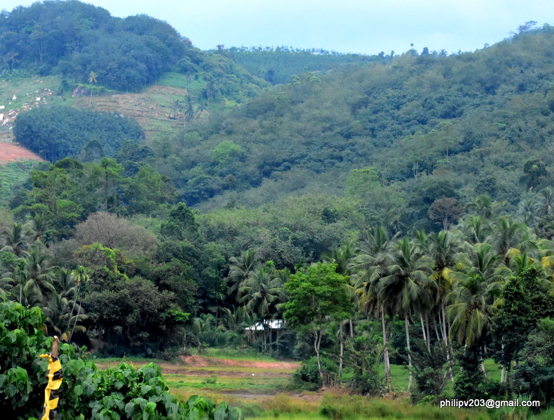 Images of Sri Lanka on blogspot.com: Beauty of the countryside ...
