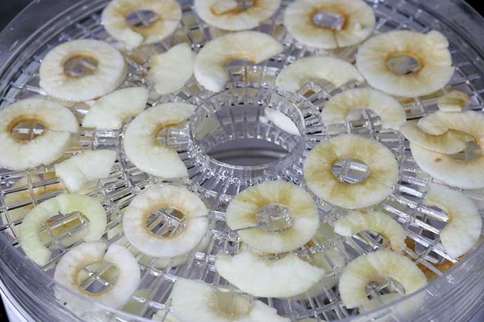 How to Dehydrate Apples With A Dehydrator - Koti Beth