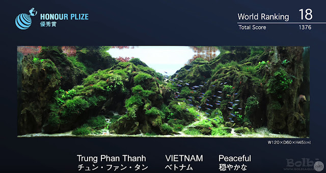 IAPLC 2017 - Top 127 [Photos] ~ Bolbi Aquarium