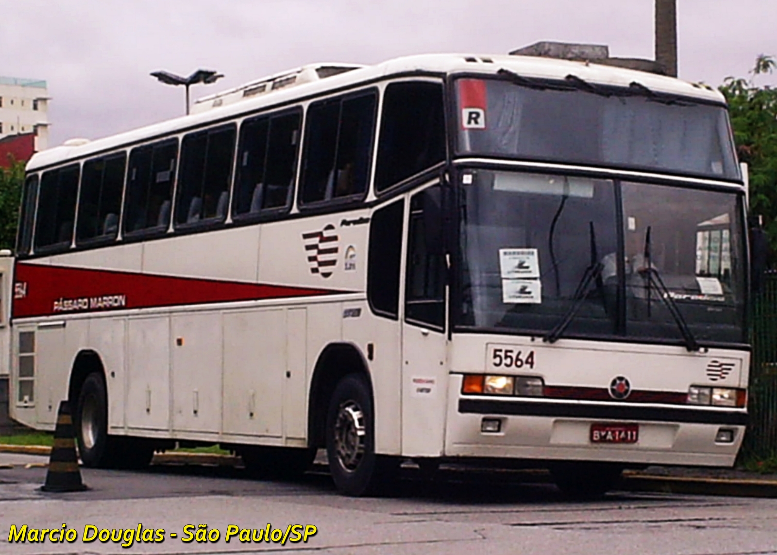 Expresso Bus: Pássaro Marron 5564